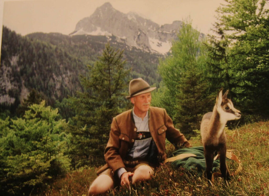 Vor über 50 Jahren möglich: Gämsenfütterung vor Staatsgrenze - Wald MIT ...